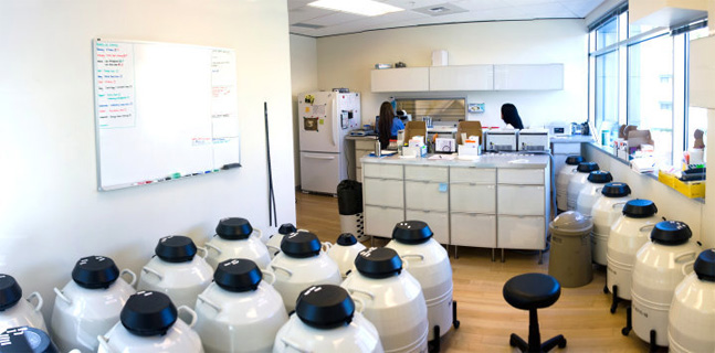 lab - Seattle Sperm Bank CANADA